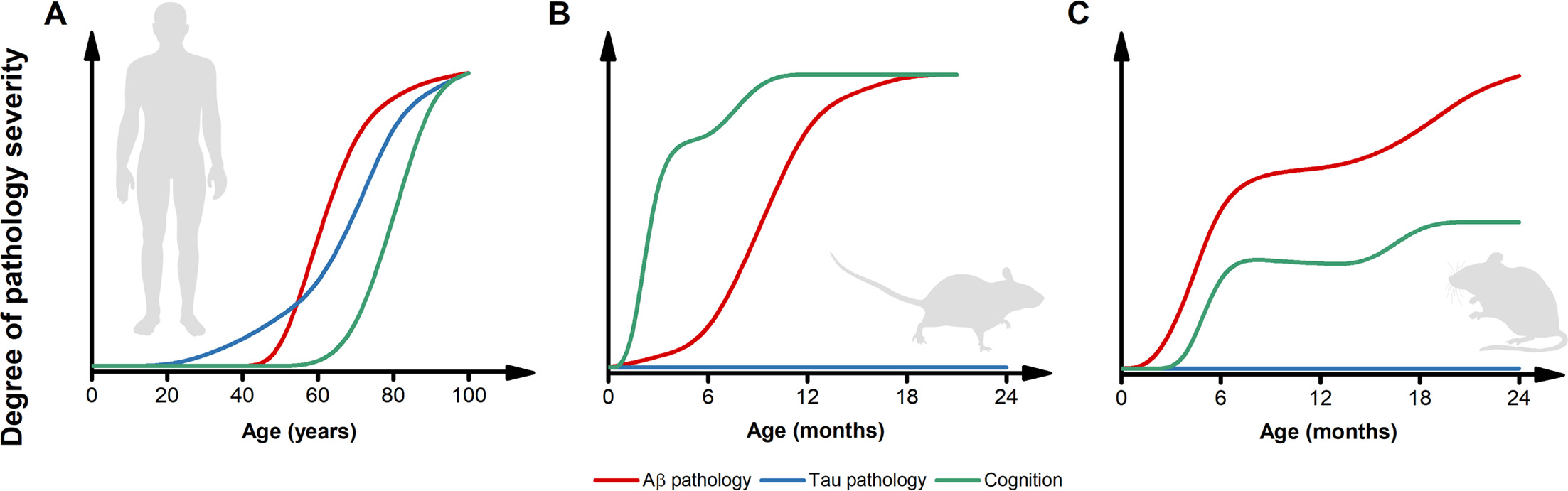 Lost in translation: Inconvenient truths on the utility of mouse models ...