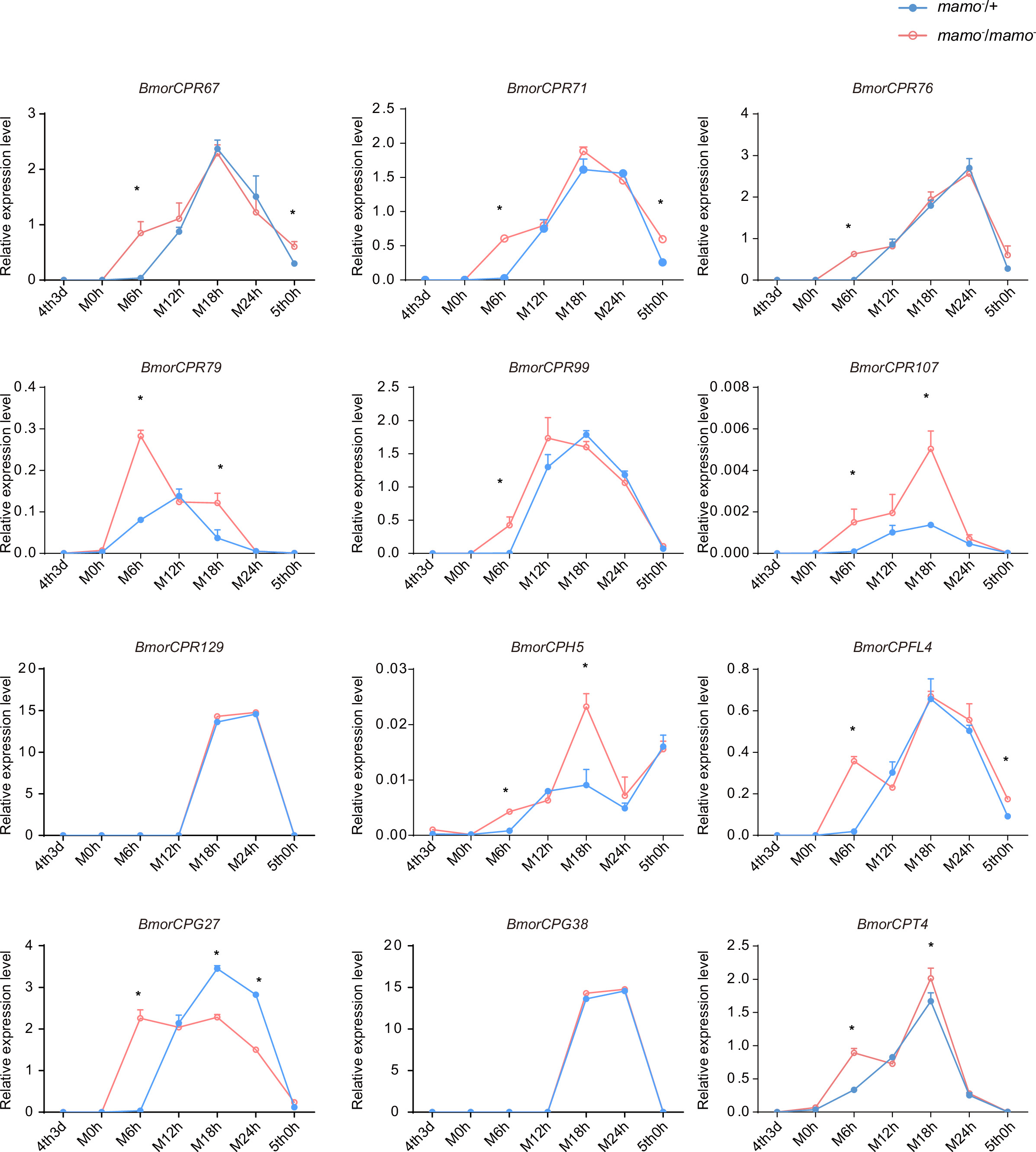 The BTB-ZF gene Bm-mamo regulates pigmentation in silkworm caterpillars ...