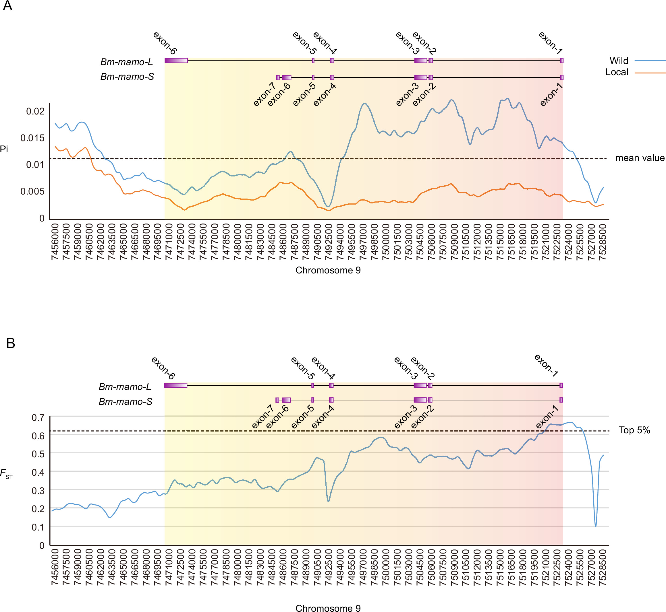 The BTB-ZF gene Bm-mamo regulates pigmentation in silkworm caterpillars ...