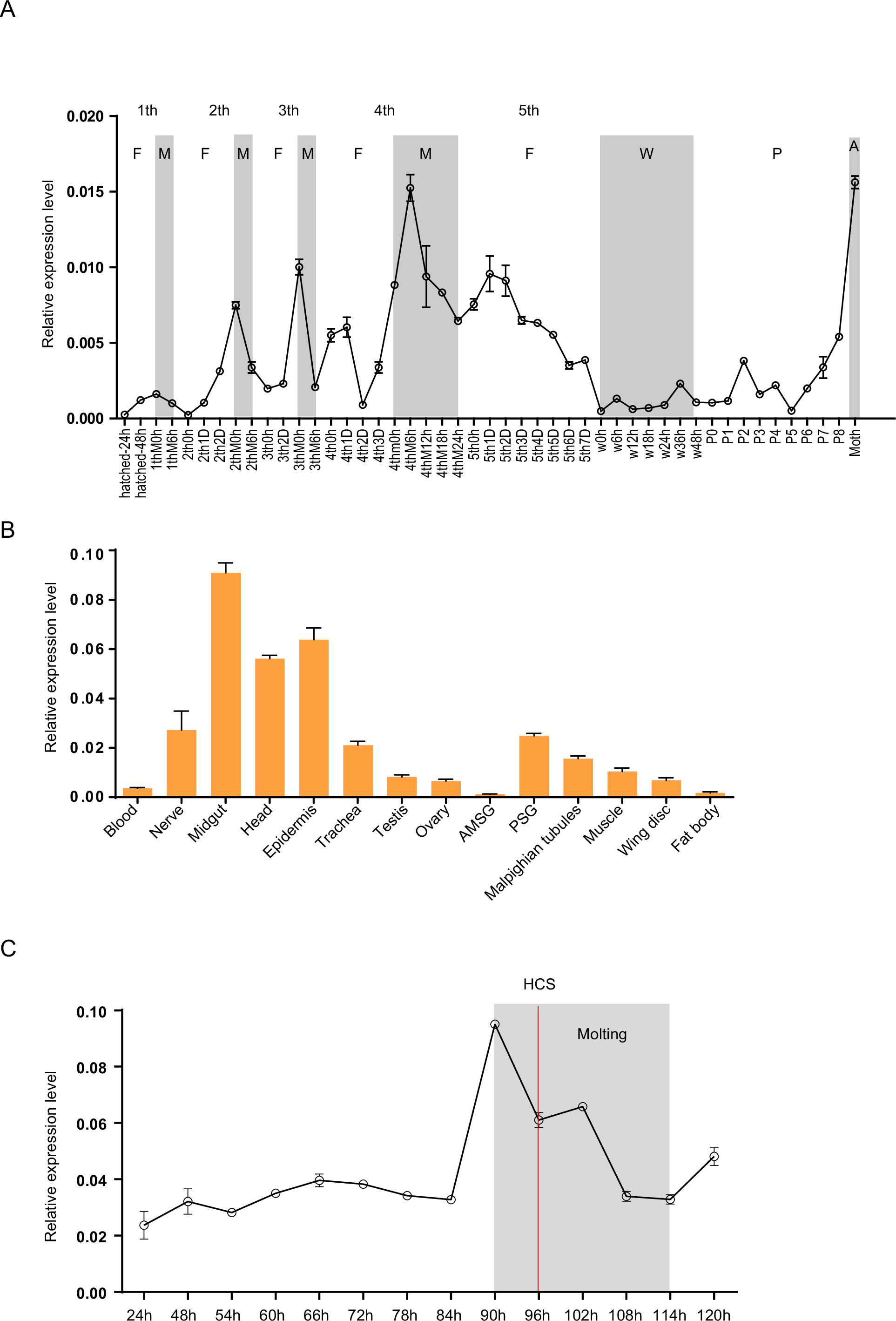 The BTB-ZF gene Bm-mamo regulates pigmentation in silkworm caterpillars ...