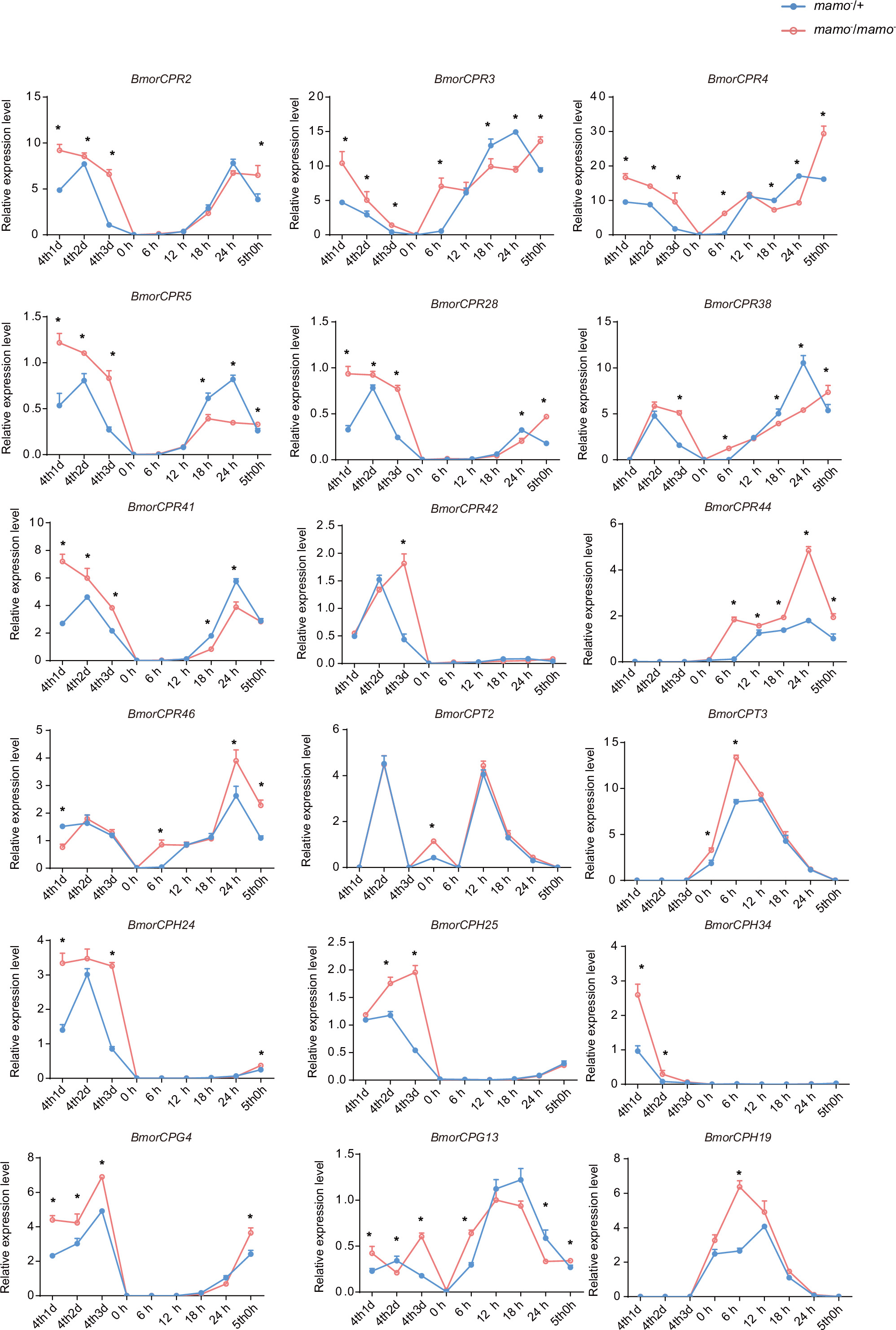 The BTB-ZF gene Bm-mamo regulates pigmentation in silkworm caterpillars ...