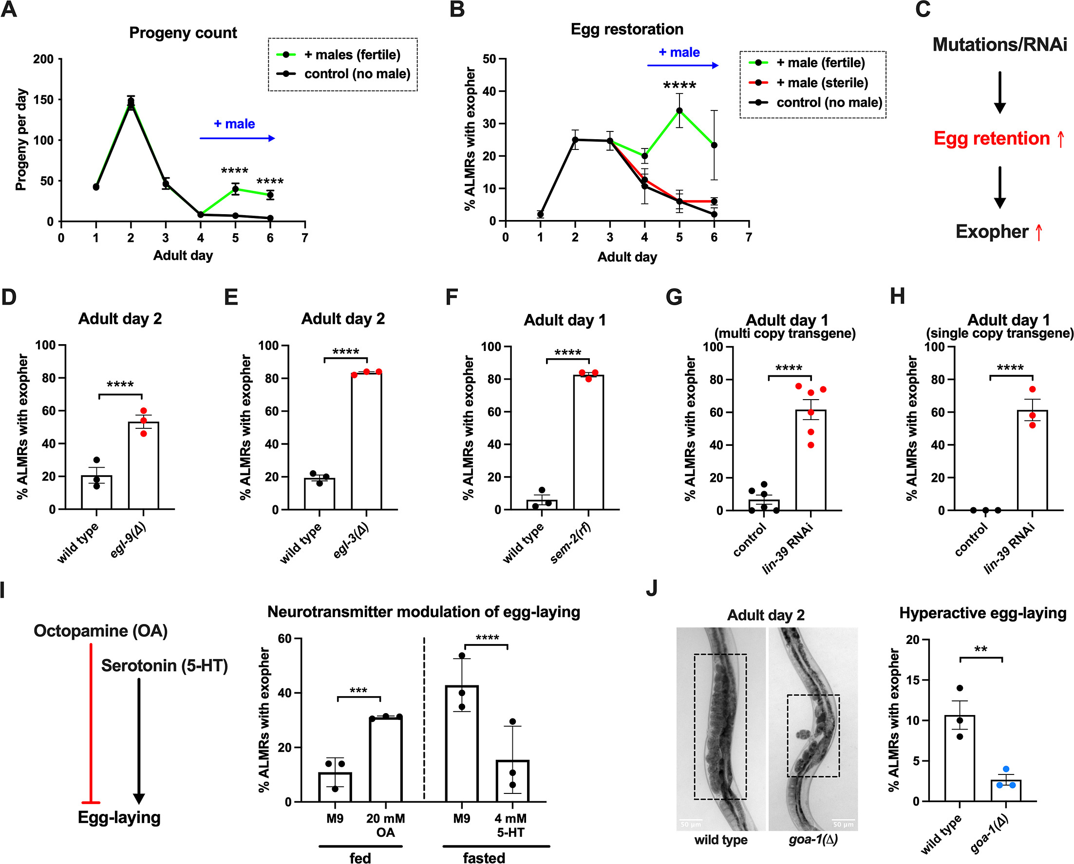 Mechanical force of uterine occupation enables large vesicle extrusion ...