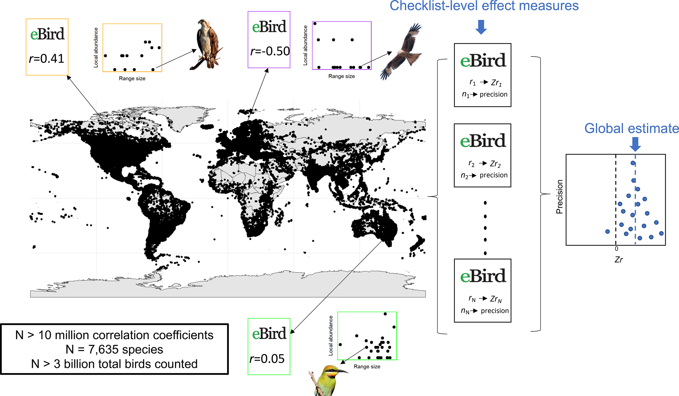 Decoupling both local and global abundance from global range size, challenging the abundance ...