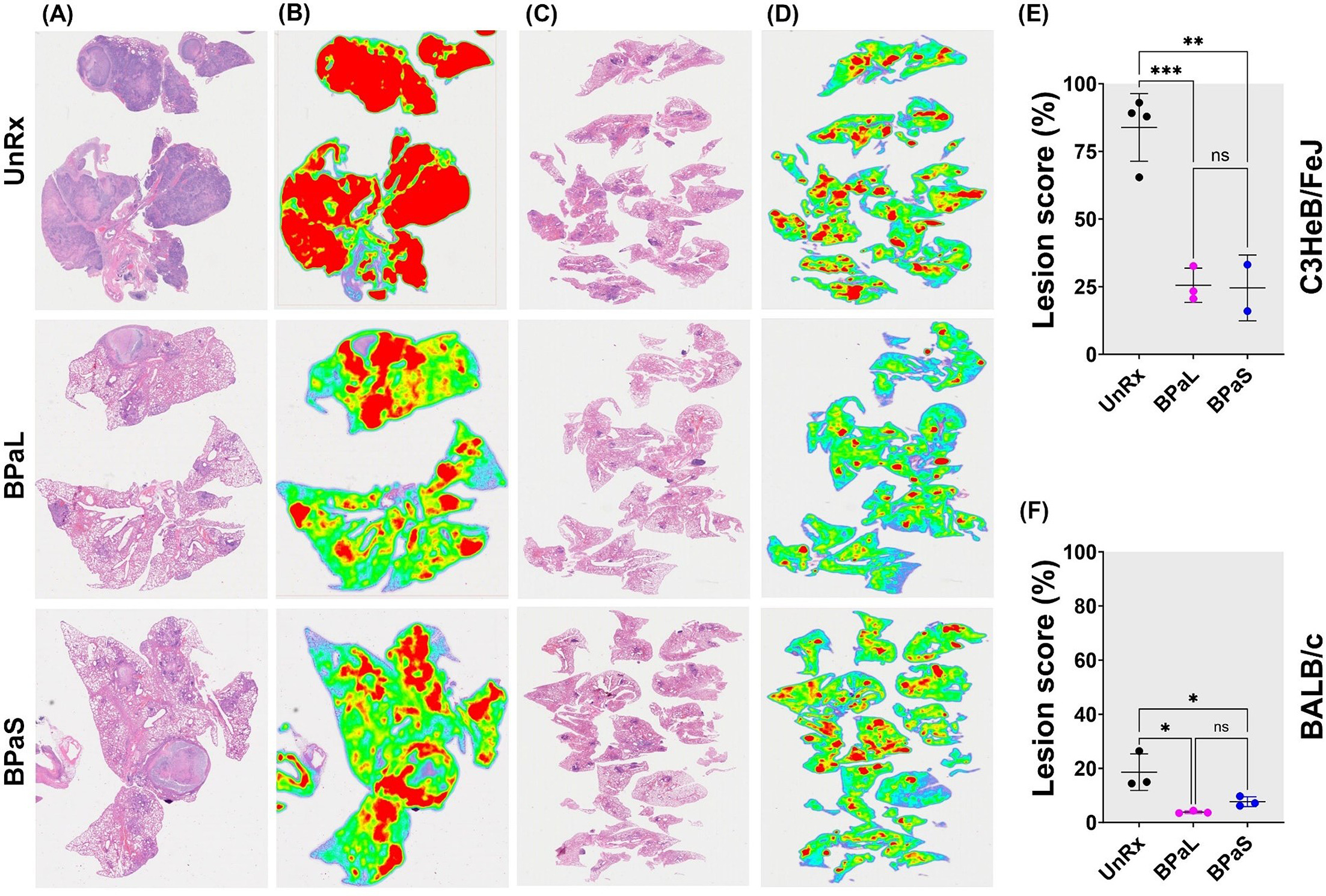 A modified BPaL regimen for tuberculosis treatment replaces linezolid ...