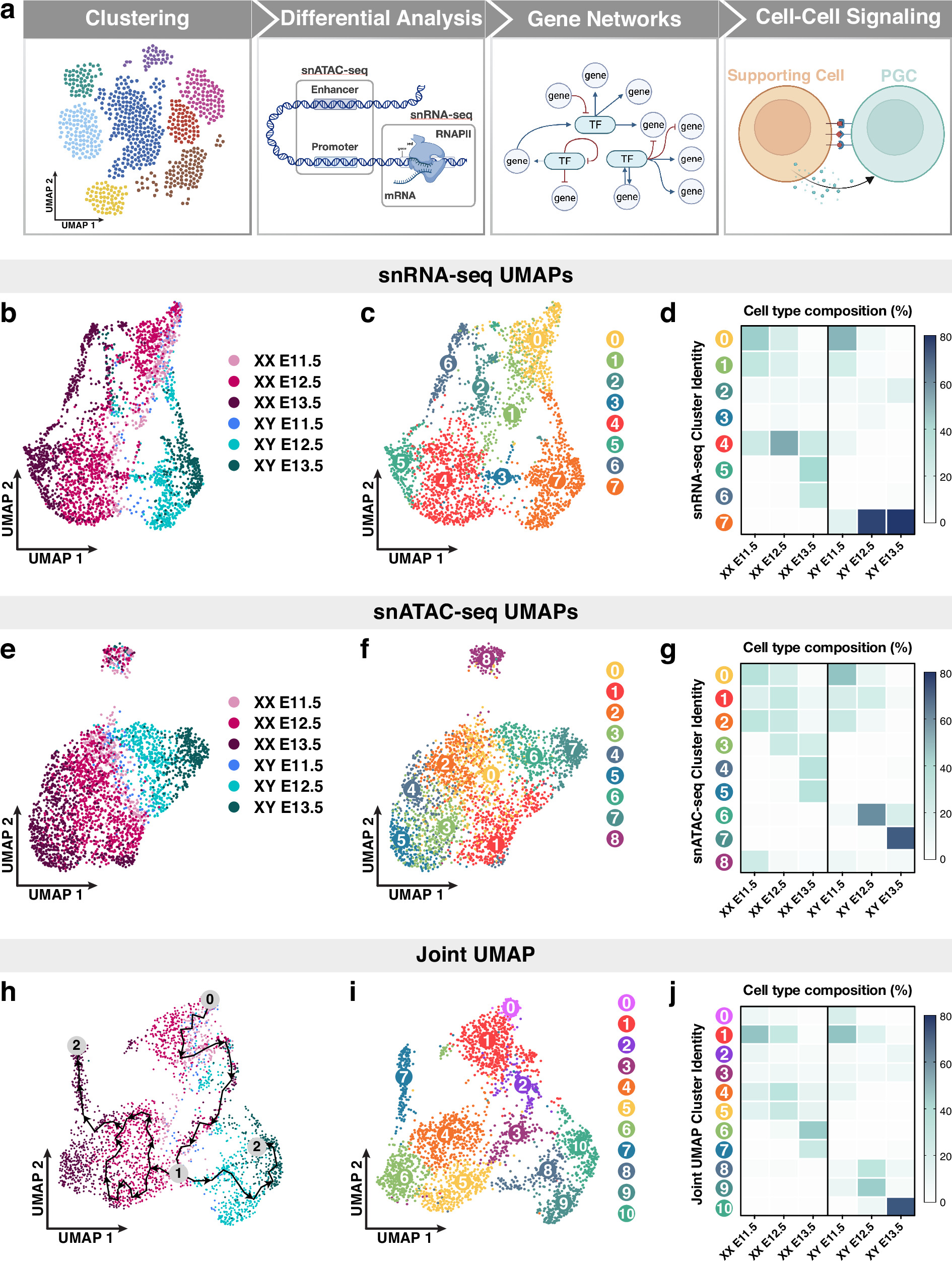 Single-nucleus multiomics reveals the gene regulatory networks ...