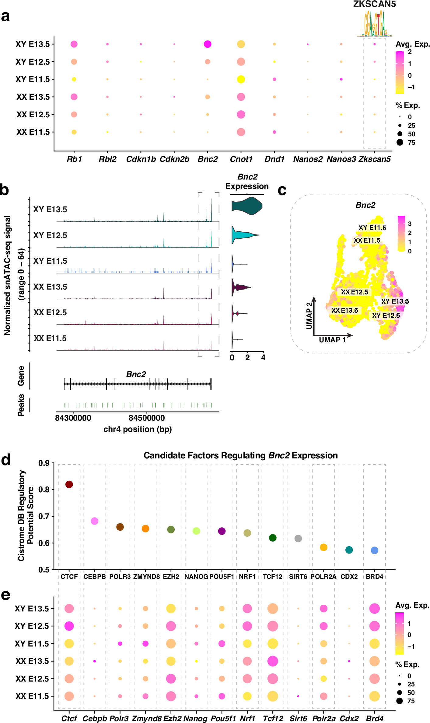 Single-nucleus multiomics reveals the gene regulatory networks ...