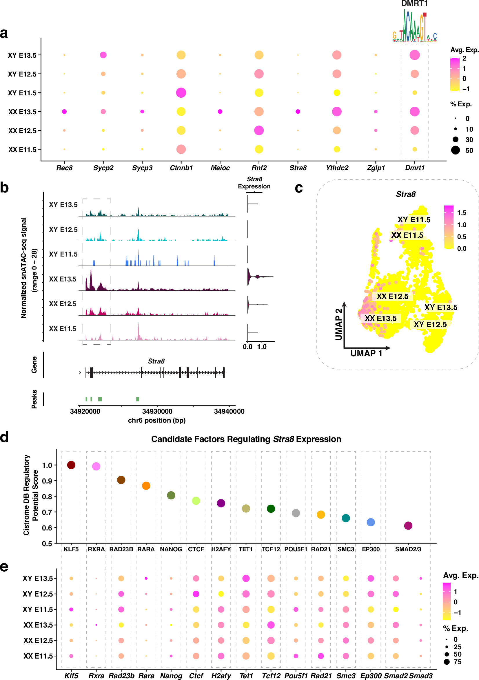 Single-nucleus multiomics reveals the gene regulatory networks ...