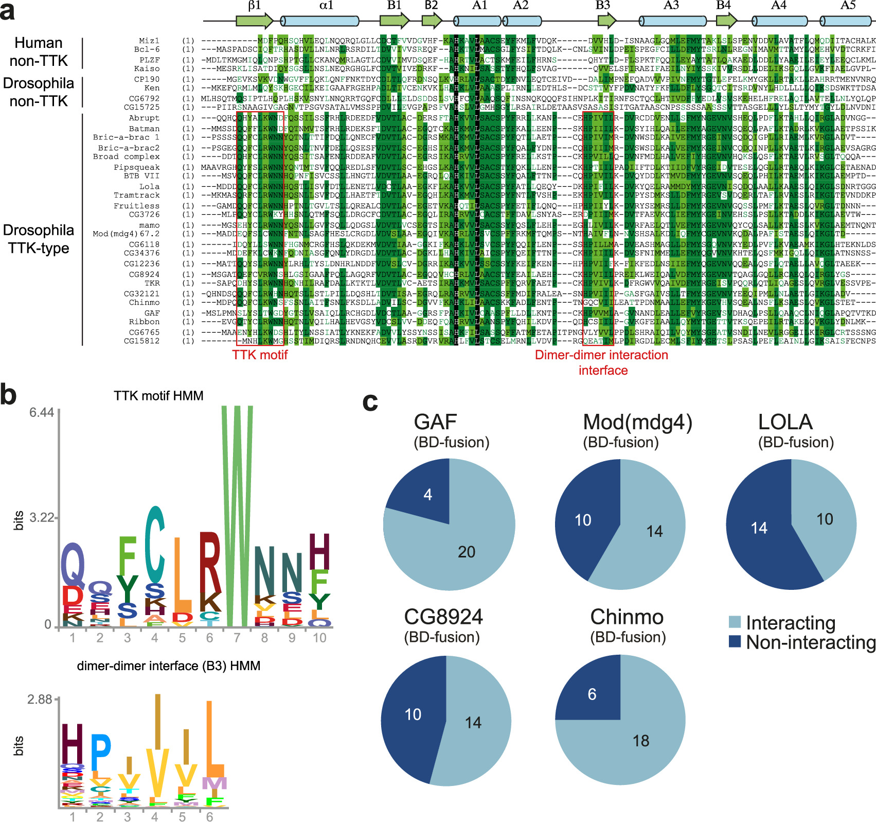 The Arthropoda-specific Tramtrack group BTB protein domains use ...
