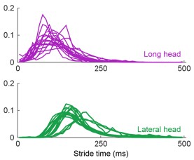 Motor unit mechanisms of speed control in mouse locomotion